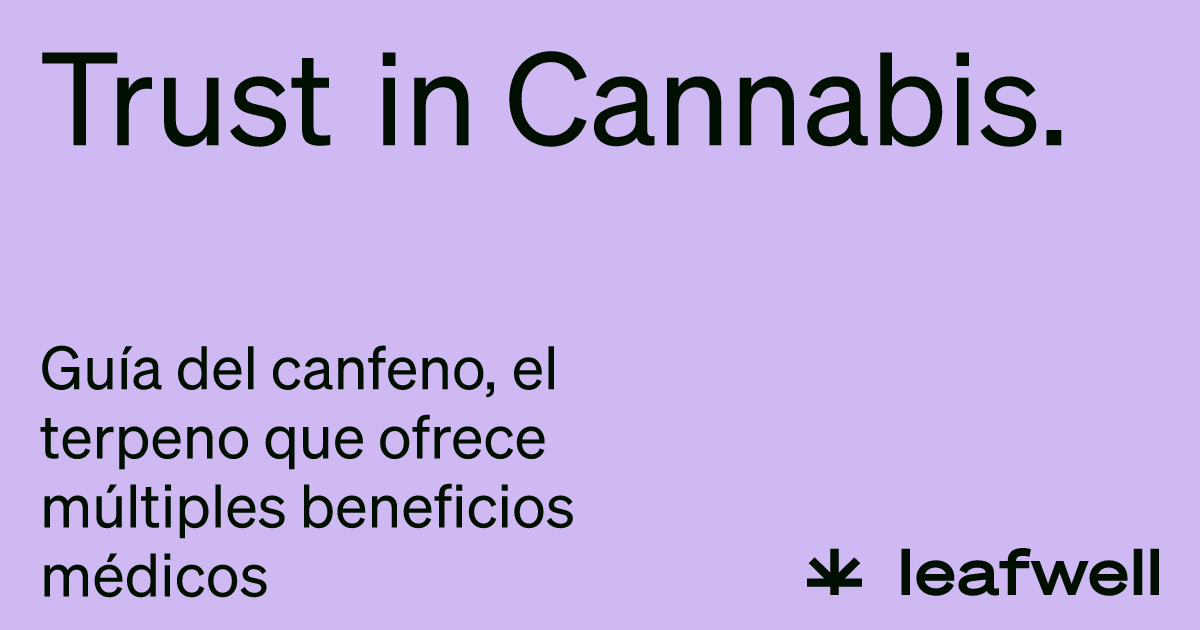 ¿Qué es el canfeno? Beneficios, usos y riesgos - Leafwell